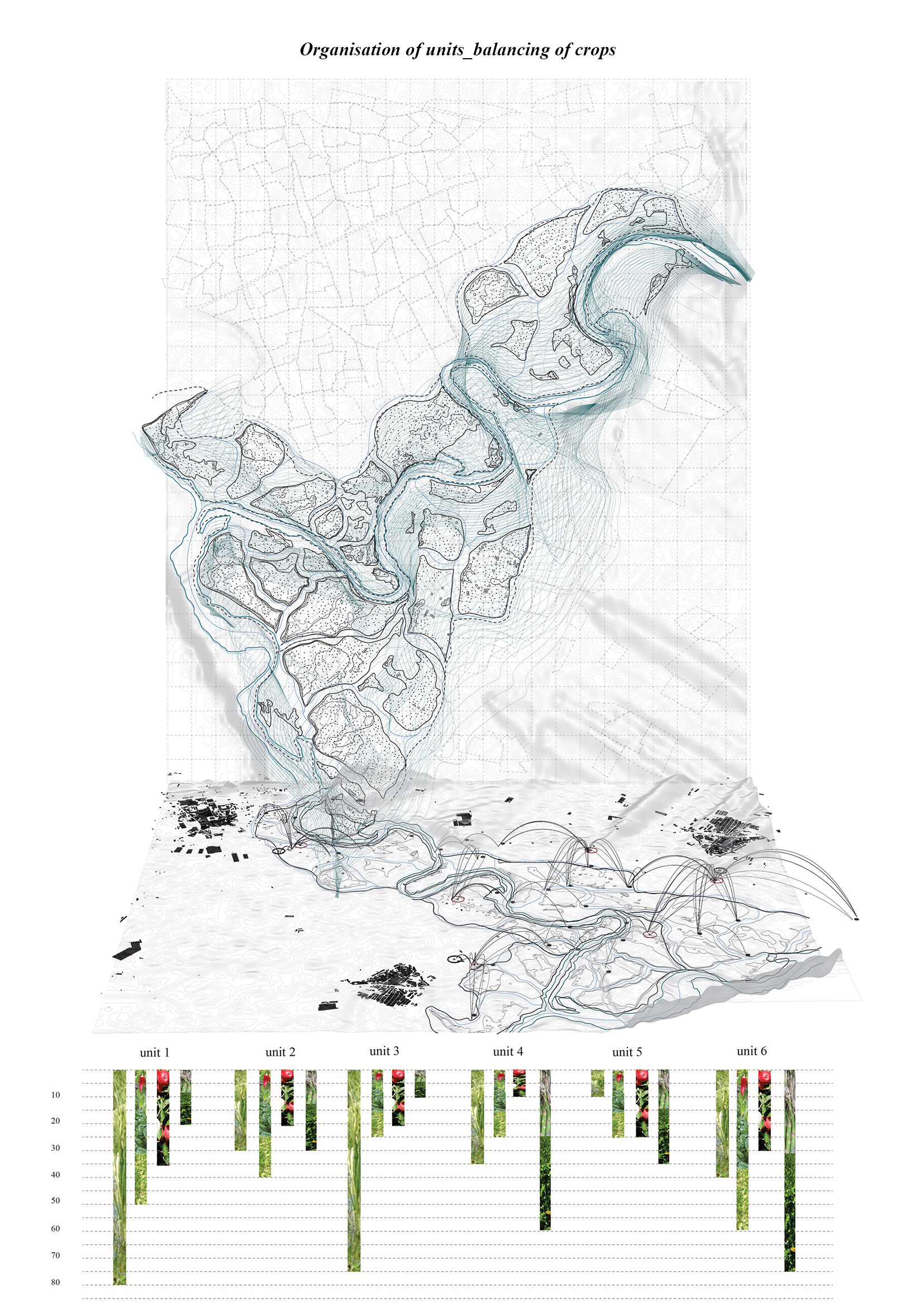 AA School of Architecture 2015 - Anastomising Rivers