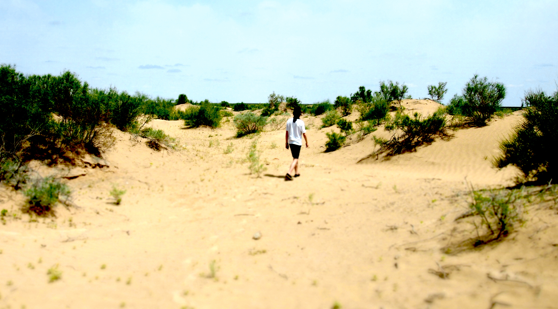 AA School of Architecture 2015 - Projective Sandscape